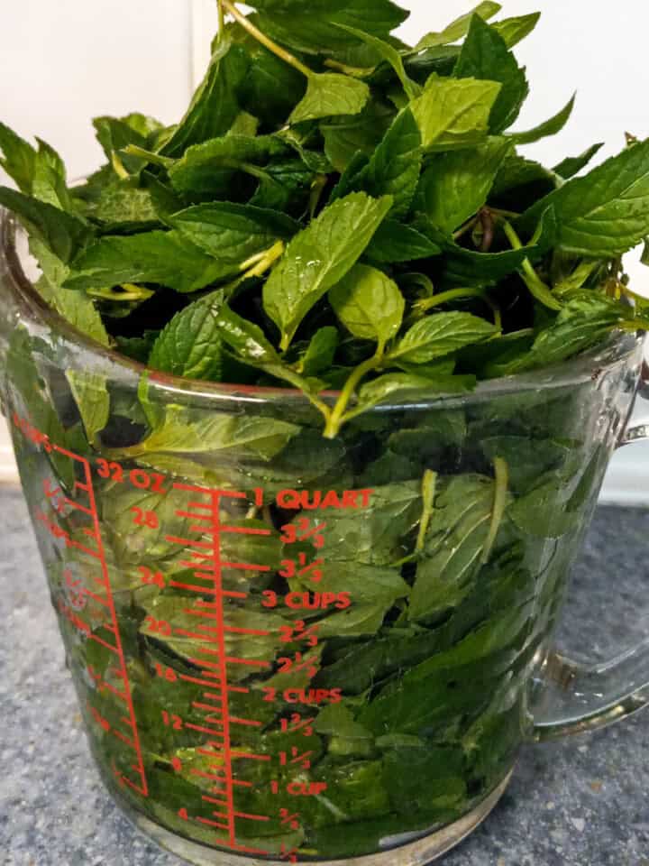 Amish Meadow Tea Recipe (Iced Mint Tea) - Amish Heritage