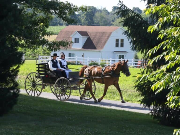 Who are the Amish? (From my Personal Experience) - Amish Heritage