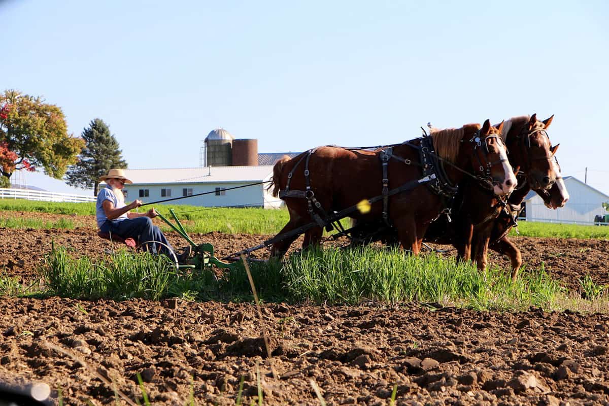 Do Amish Farmers Use Tractors? - Amish Heritage