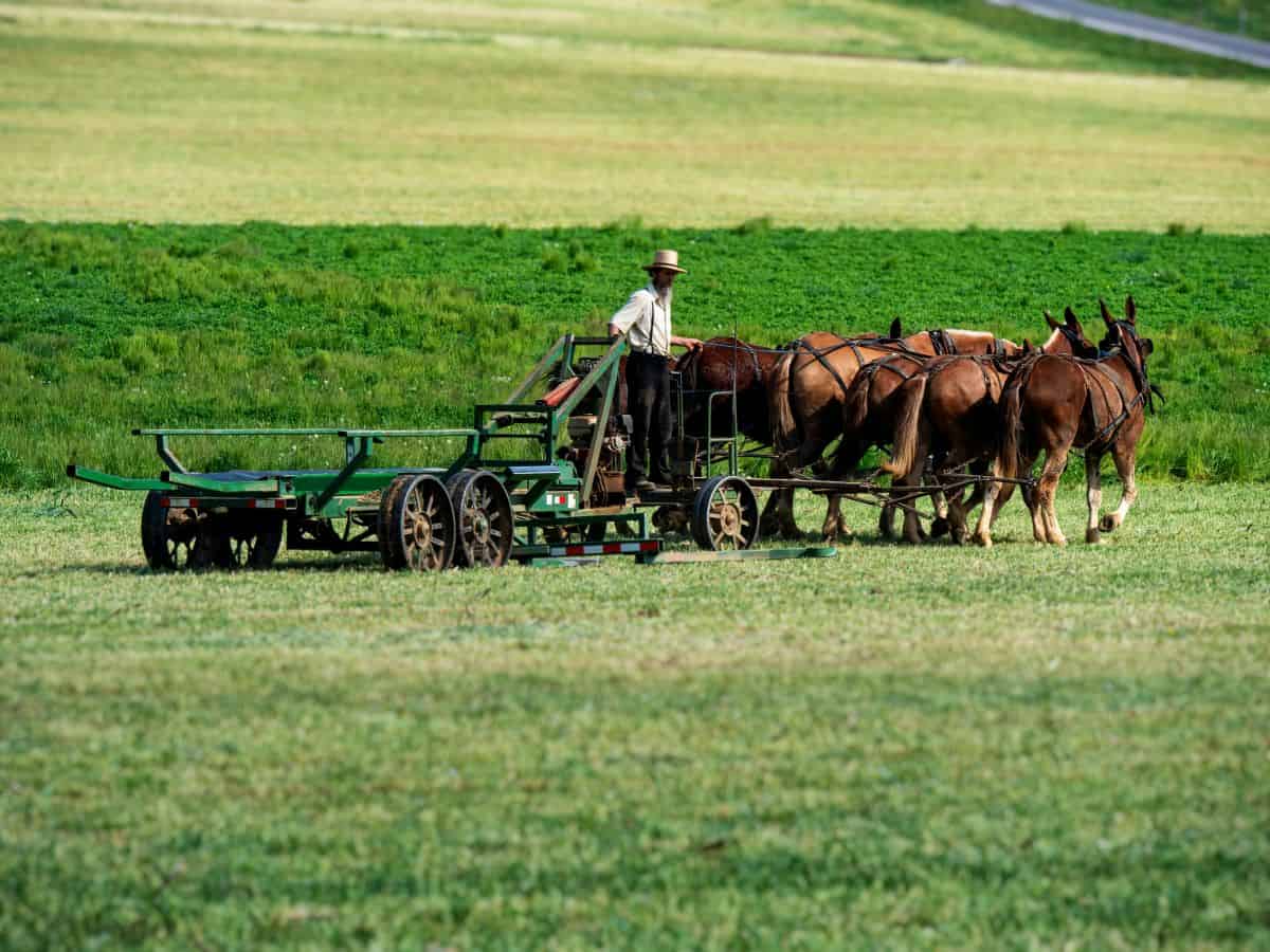 Barefoot Amish (Why Do Amish Go Barefoot?) - Amish Heritage