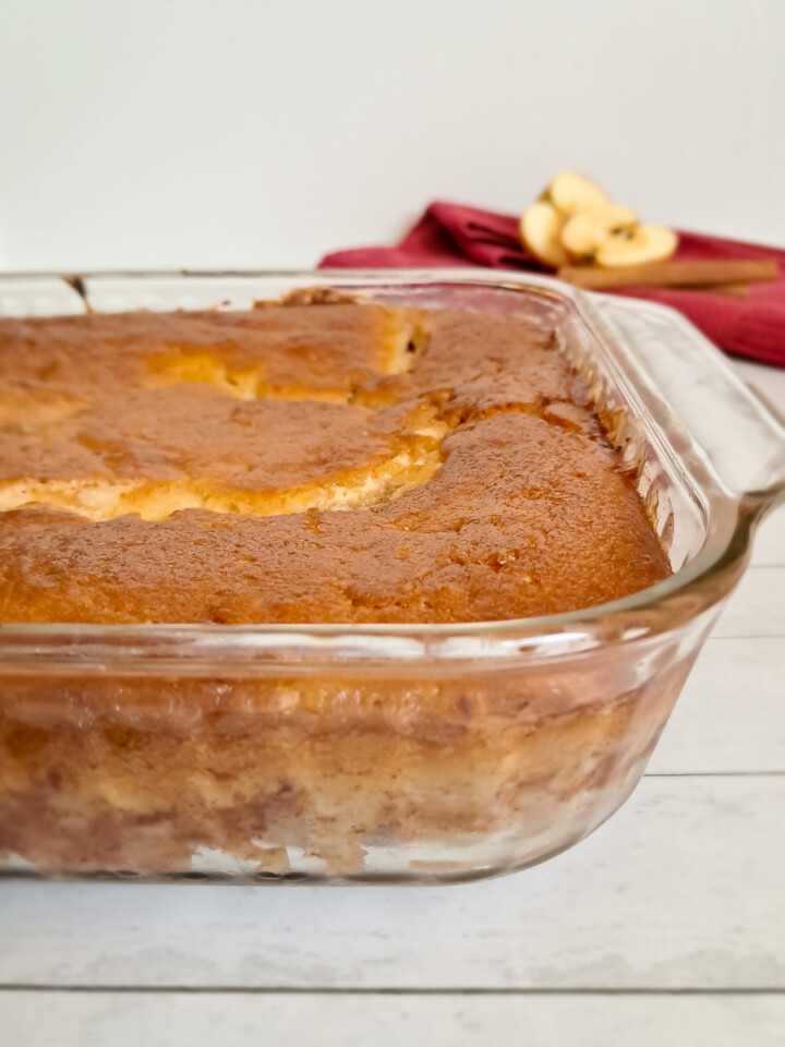 Amish Apple Pudding Cake (Warm Apple Pudding) - Amish Heritage